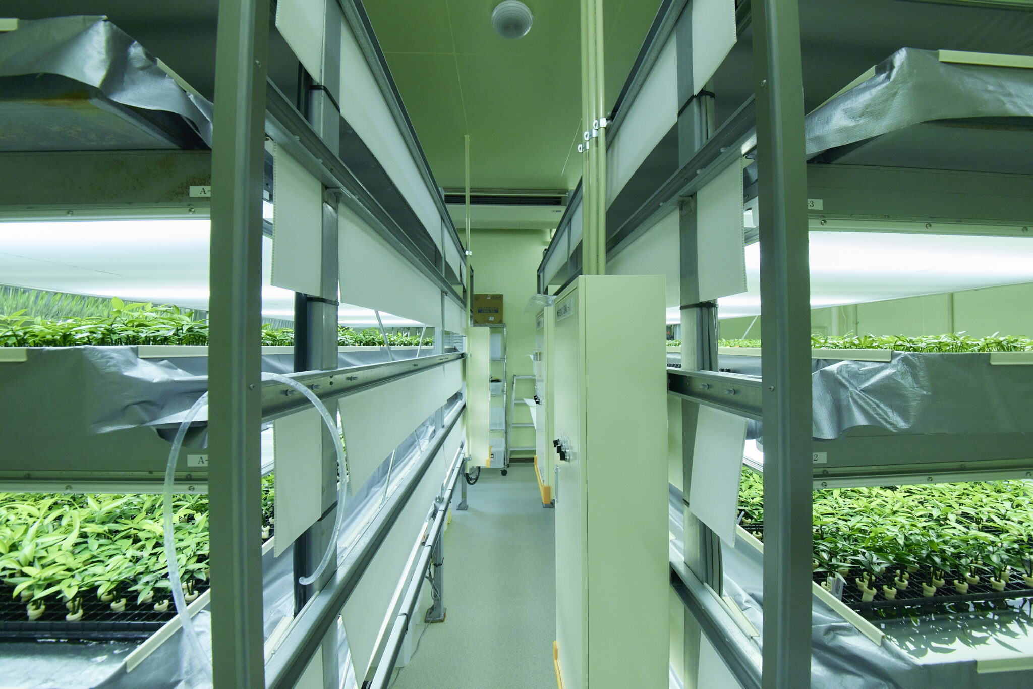 Inovation center | GCJ